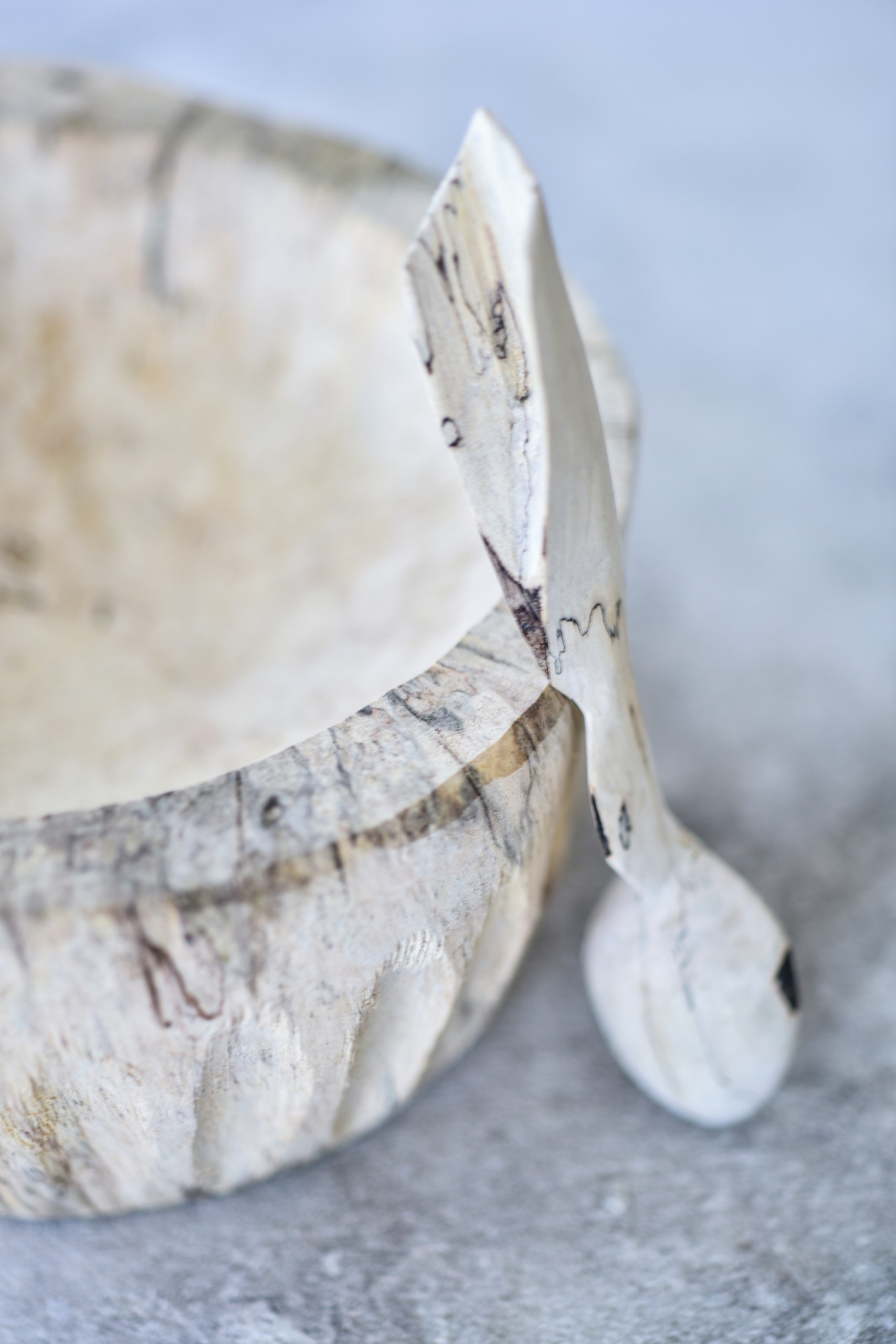 Spalted Wood - myko-kitchen